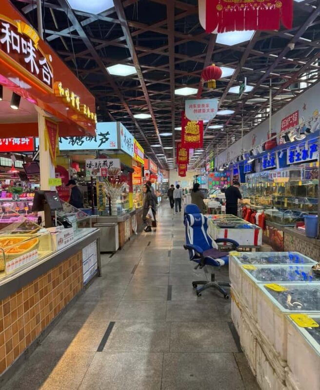 Tianjin: Folk Art, Local Market & Haihe River Cruise Tour - Who Will Love This Tour?