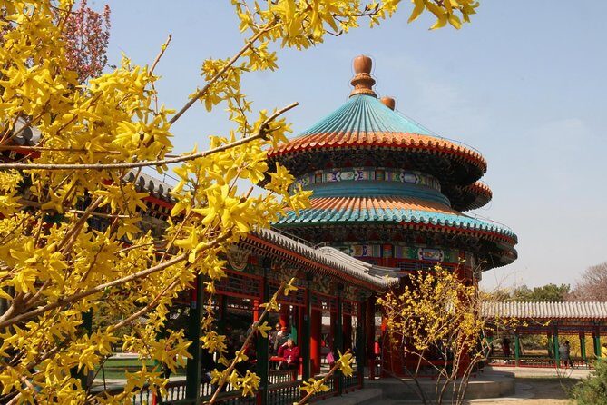 Tianjin Xingang Port to Beijing Hotel with Private Driver Service - The Sum Up: Is This Transfer Worth It?