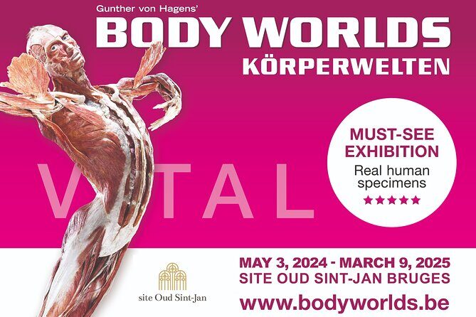 Ticket Expo Body Worlds in Bruges, Belgium - The Value of Your Ticket at $81