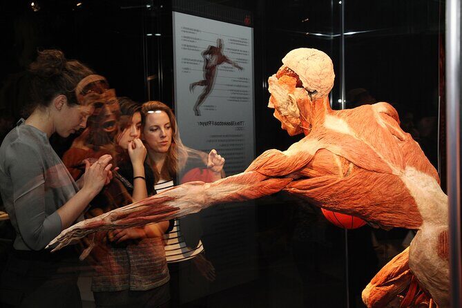 Ticket Expo Body Worlds in Bruges, Belgium - Final Thoughts
