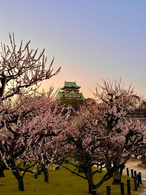 (Ticket Included) Explore Osaka Castle & Museum of History - Practicalities and Logistics