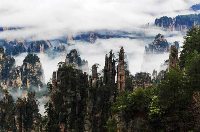 Ticket Pre - Booking to Zhangjiajie National Forest Park - Insights from Travelers and Reviews
