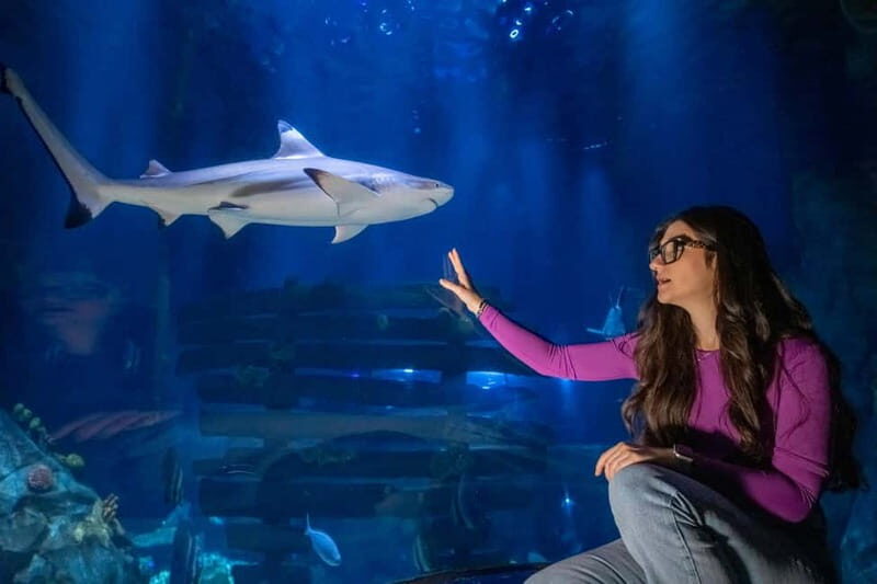 Ticket to SEA LIFE Konstanz - Exploring SEA LIFE Konstanz: What to Expect