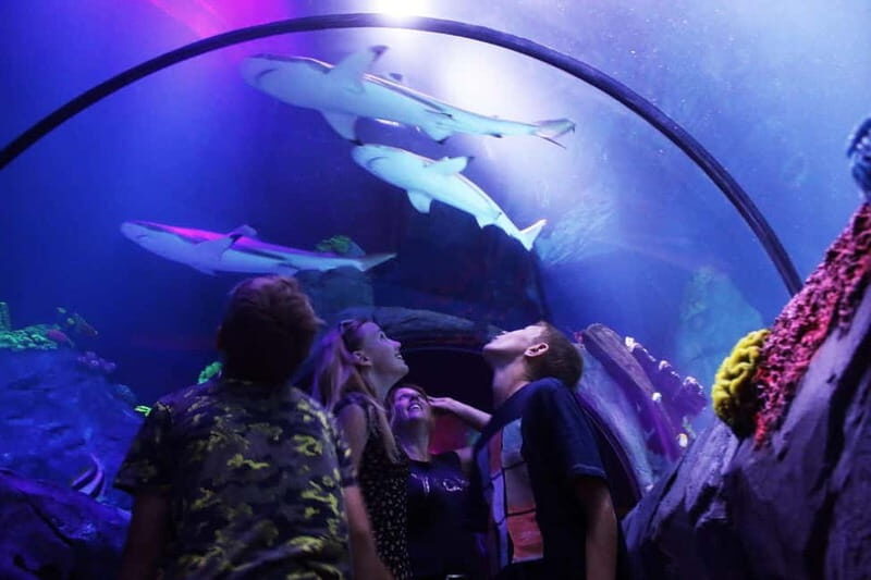 Ticket to SEA LIFE Konstanz - Who Will Enjoy This Experience?