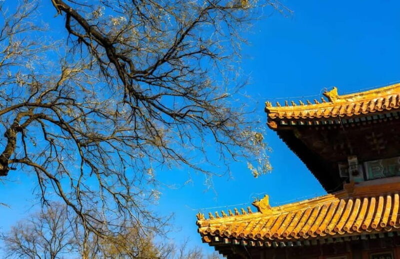 Tickets to all Beijing attractions (Forbidden City optional) - An In-Depth Look at the Ticket Experience