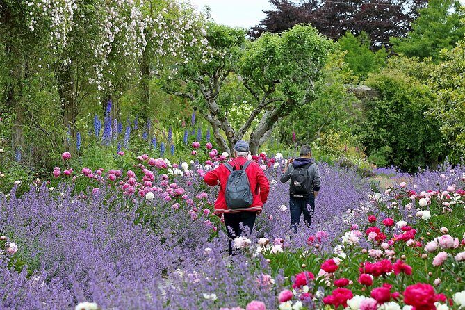 Tickets to Explore Ireland's Global Garden - A Closer Look at Mount Congreve Gardens
