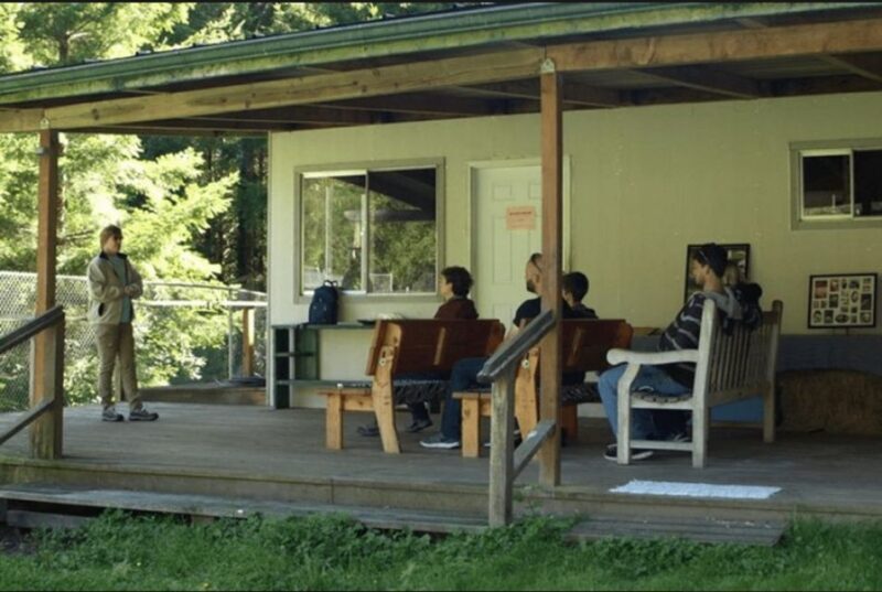 Tidewater: White Wolf Sanctuary Tour and Presentation - Practicalities and What You Need to Know