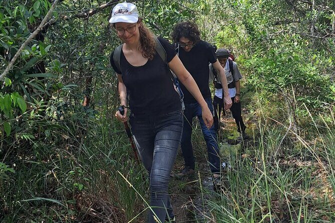 Tien Son Dinh 1 Day Trekking Tour Phu Quoc - Practical Tips for Participants