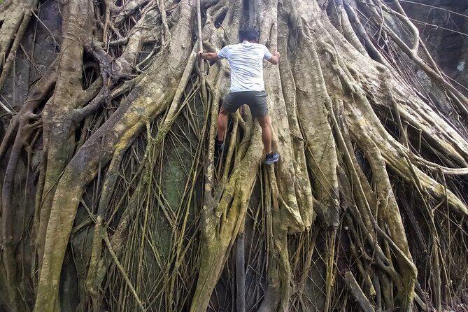 Tien Son Dinh 1 Day Trekking Tour Phu Quoc - The Sum Up