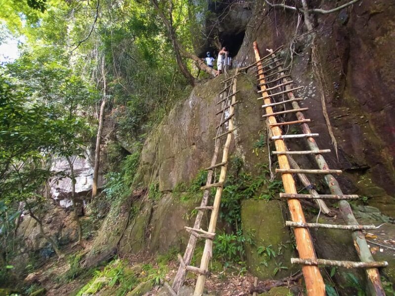 Tien Son Dinh 1-Day Trekking Tour Phu Quoc - An In-Depth Look at the Tien Son Dinh Trekking Experience