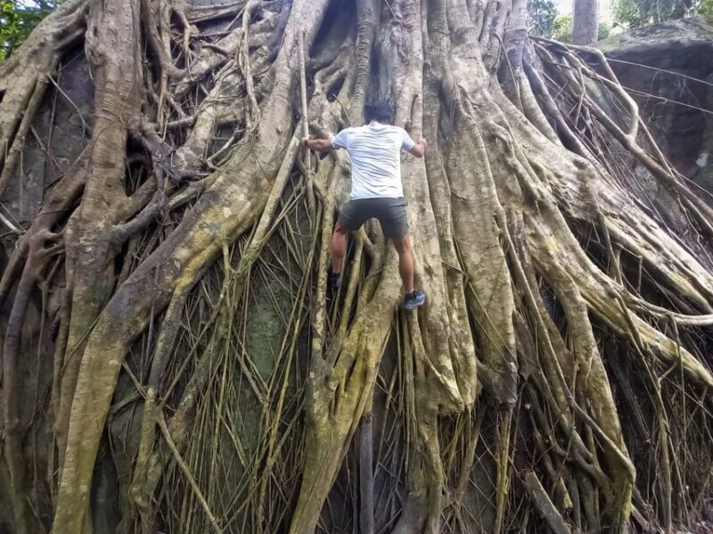 Tien Son Dinh 1-Day Trekking Tour Phu Quoc - Who Should Consider This Tour?