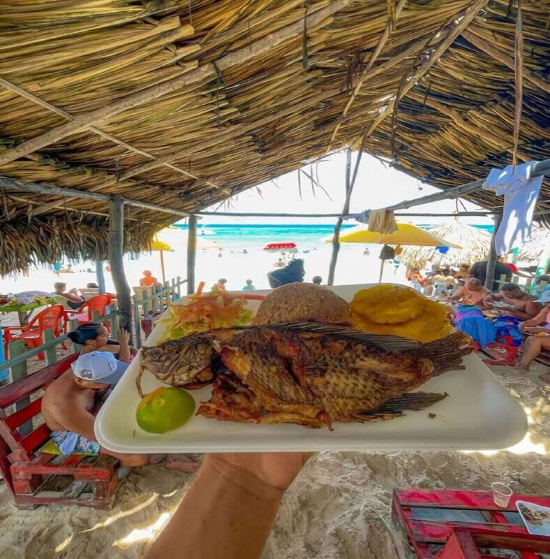 Tierra bomba: Typical beachday to Punta Arena! - Tierra Bomba: Typical Beach Day to Punta Arena — A Balanced Look