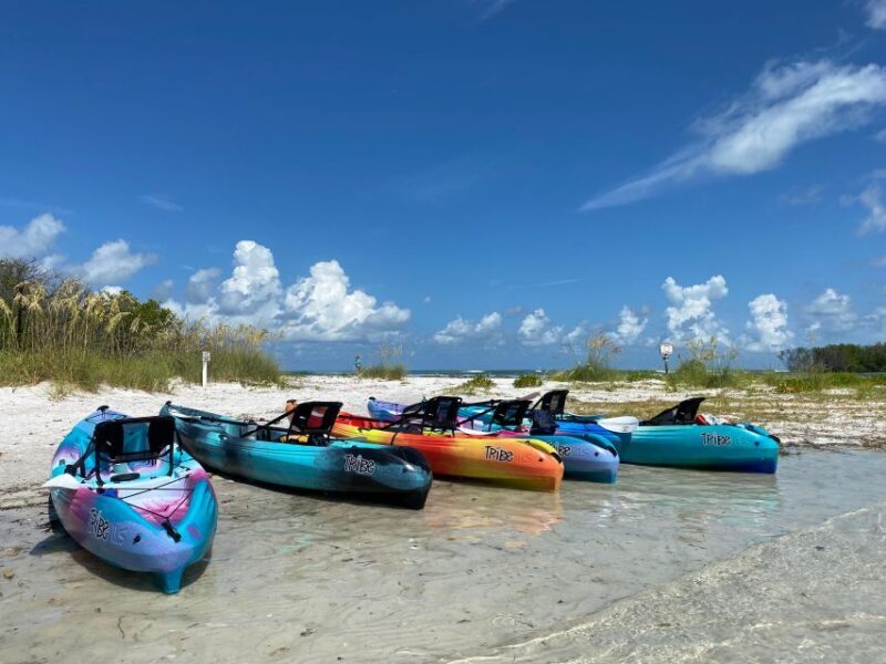 Tierra Verde FL: Coastal Kayaking Tour in Shell Key - An In-Depth Look at the Kayak Adventure