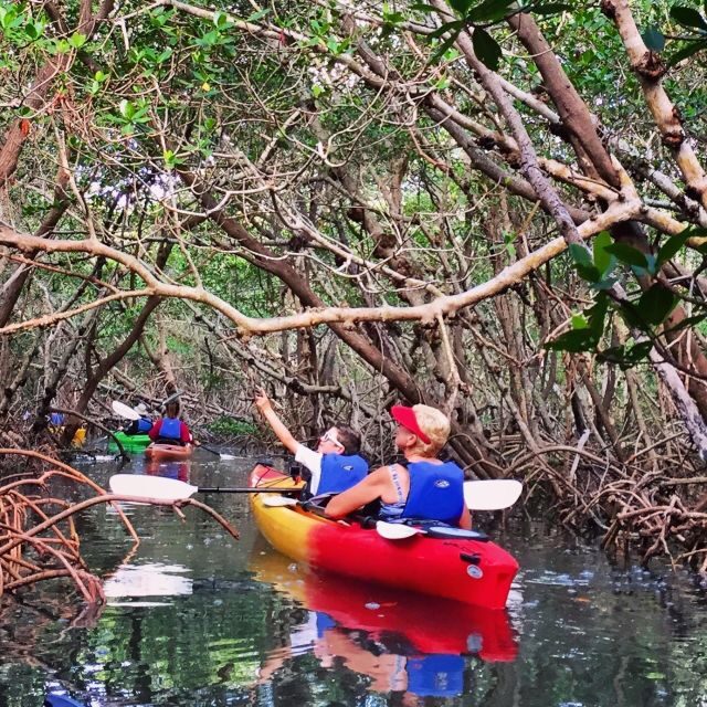 Tierra Verde FL: Coastal Kayaking Tour in Shell Key - FAQ