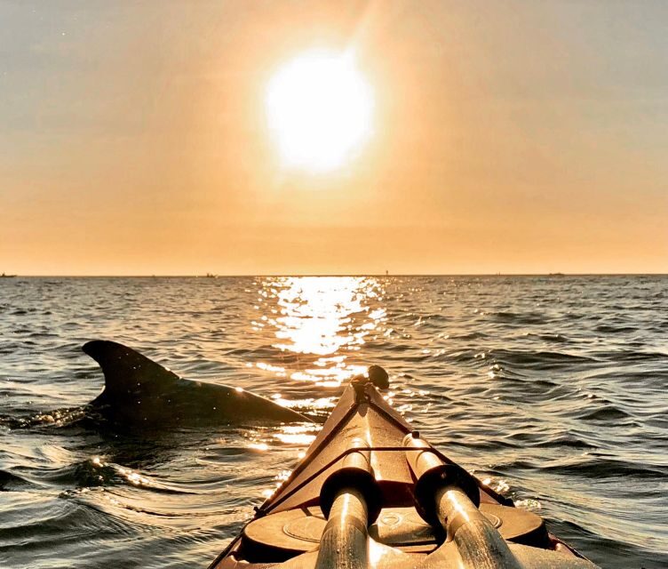 Tierra Verde FL: Coastal Kayaking Tour in Shell Key - Final Thoughts