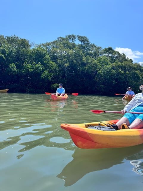 Tierra Verde: Shell Key Mangrove Private Guided 1.5 hr Tour - Key Points