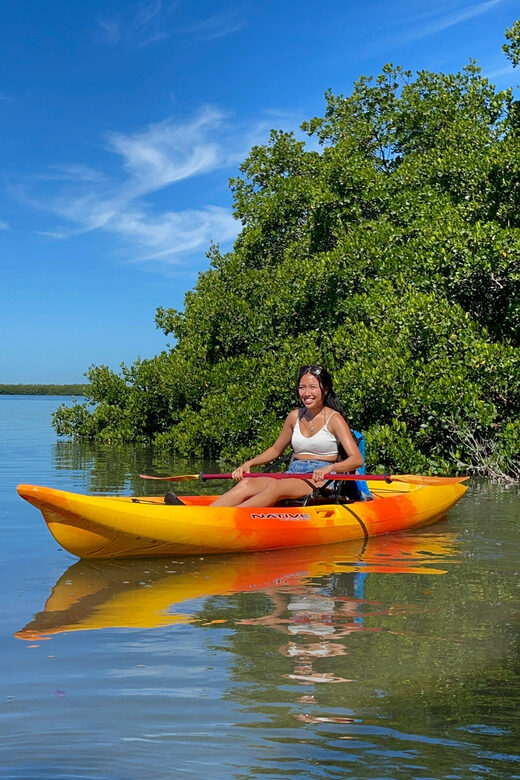 Tierra Verde: Shell Key Mangrove Private Guided 1.5 hr Tour - An Honest Look at the Tour Experience