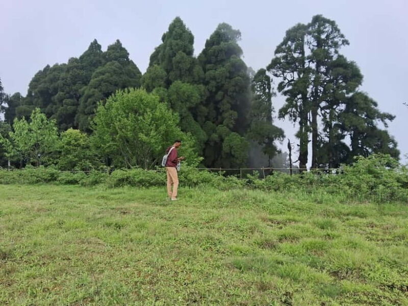 Tiger Hill Sunrise and Hiking Tour from Darjeeling - Who Should Sign Up?