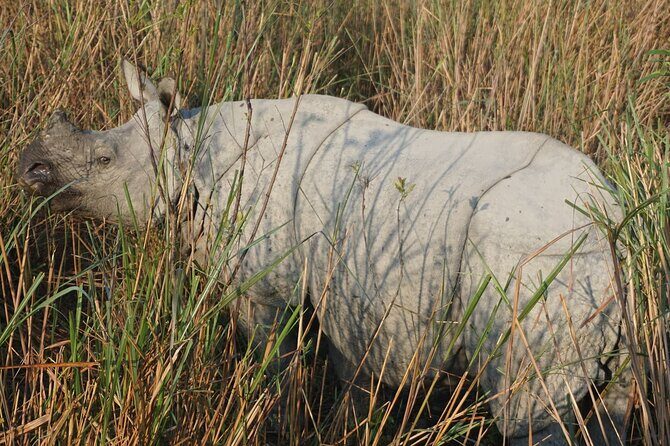 Tiger Reserve and Tribal Village - Key Points
