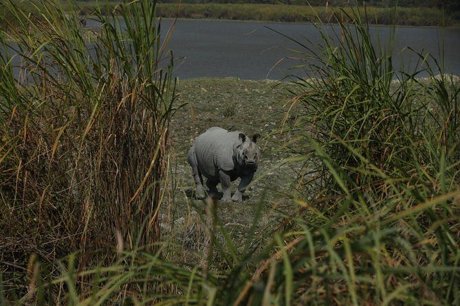 Tiger Reserve and Tribal Village - The Tribal Village Experience: Benreu and Beyond