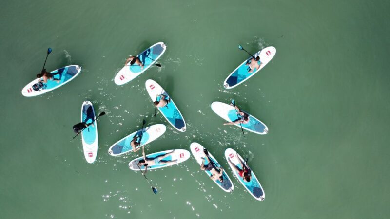 Tihany: SUP Course and Tour at Lake Balaton - Key Points