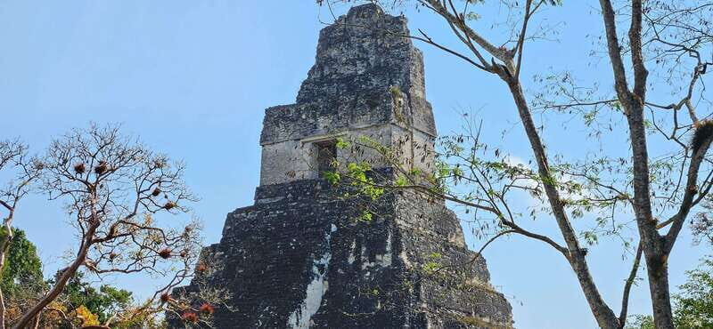 Tikal from Hotel Camino Real El Remate - All Inclusive - Authentic Experiences and Overall Value
