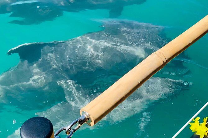 Tiki Boat - Clearwater - The Only Authentic Floating Tiki Bar - Practical Tips for Your Tiki Boat Adventure