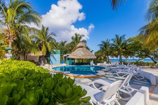 Tikinxic Barefoot Fish Guided Cookout Experience in Cozumel - Frequently Asked Questions