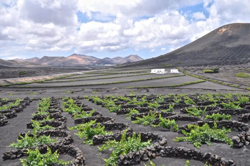Timanfaya And El Golfo For Cruise Passengers (Mornings) - A Deep Dive into the Lanzarote Tour Experience