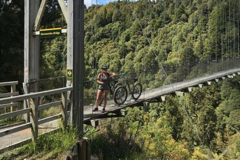Timber Trail One Day Mountain Bike Ride - Shuttle Service - Introduction