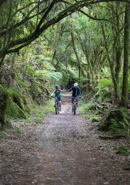 Timber Trail One Day Mountain Bike Ride - Shuttle Service - FAQ