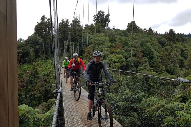 Timber Trail - Ongarue to Pureora Shuttle 2 Day Ride - An Authentic Two-Day Mountain Bike Adventure