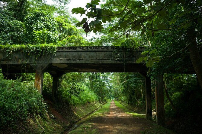 Time Travel Singapore: Self-Guided Puzzle Adventure - What Past Participants Say