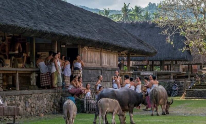 Time Travel Through Ancient Bali: East Bali Cultural Journey - Natural Wonders and Marine Adventures