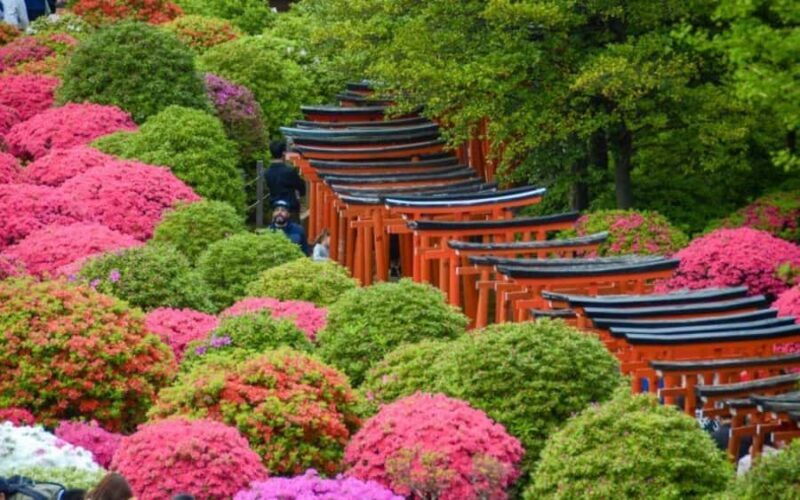 Timeless Tokyo Yanaka: Hidden Flavors & Old Tokyo Spirit - An In-Depth Look at the Journey