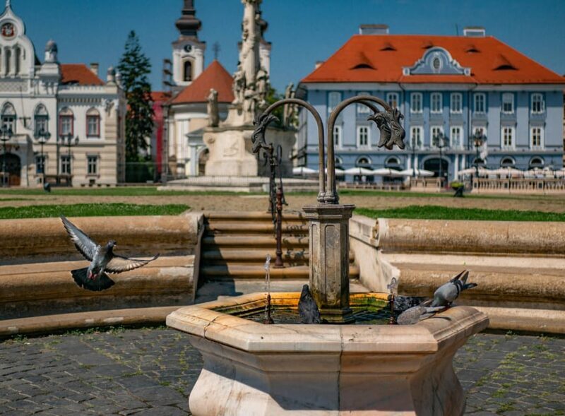 Timisoara: Private Walking Tour with a Local Guide - Final Thoughts: Who Should Consider This Tour?