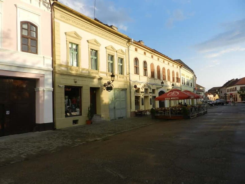 Timisoara: Sighioara, Biertan, and Media Day Trip - Practical Details: What’s Included and What’s Not