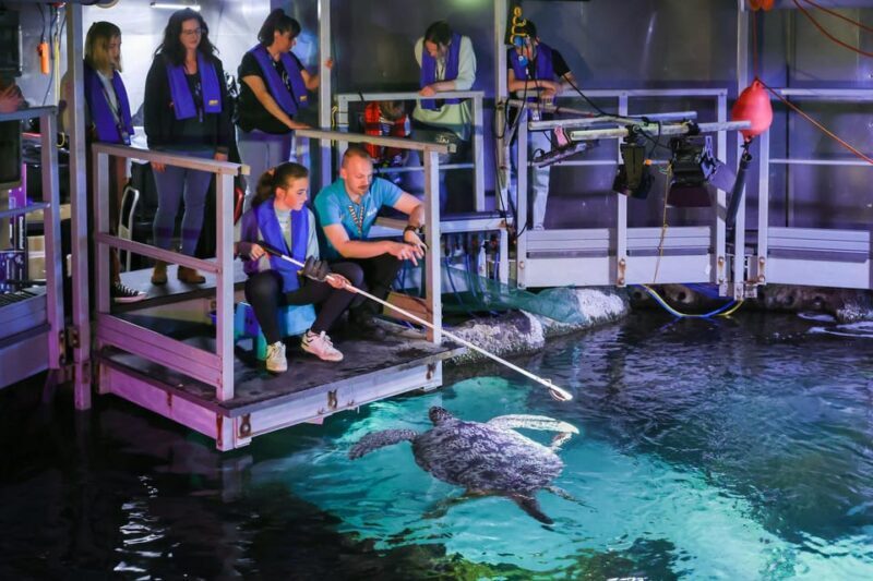 Timmendorfer Strand: SEA LIFE Behind the Scenes Tour - An In-Depth Look at the Tour