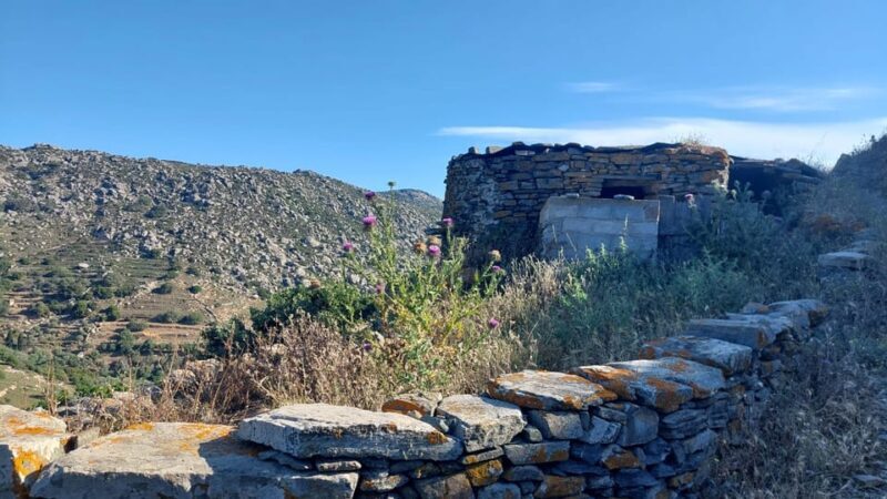 Tinos: 3-Day Hiking Adventure - Who Is This Tour Best Suited For?