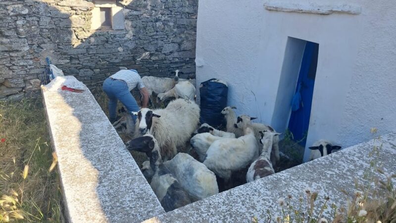 Tinos: 3-Day Hiking Adventure - FAQ: Practical Questions About the Tinos 3-Day Hiking Tour
