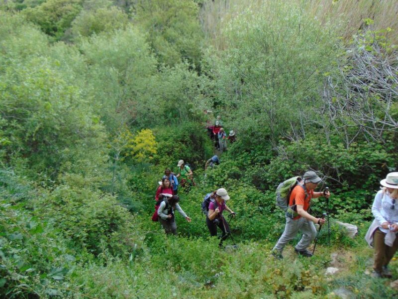Tinos: Tarampados to Komi Guided Hiking Tour - Key Points