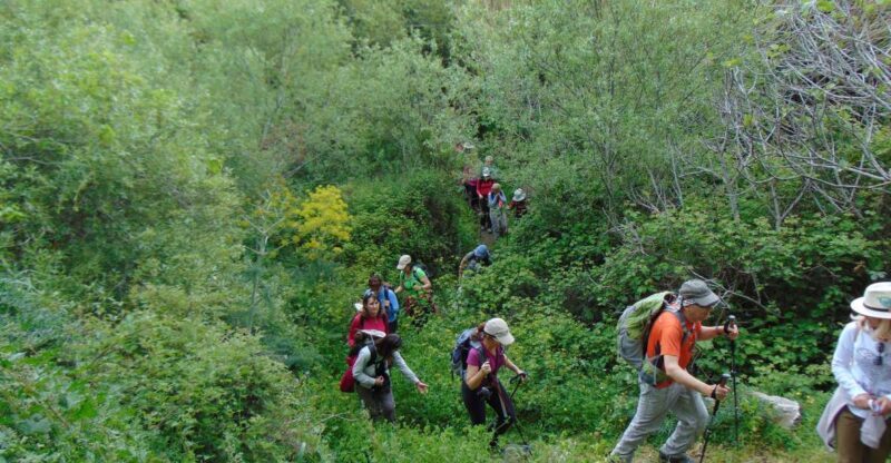 Tinos: Tarampados to Komi Guided Hiking Tour - Who Should Do This Tour?