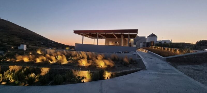 Tinos: Winery Tour and Wine Tasting Paired with Snacks - An Introduction to the Tinos Winery Experience