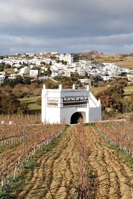 Tinos: Winery Tour and Wine Tasting Paired with Snacks - The Wines and Snacks: Why They Matter