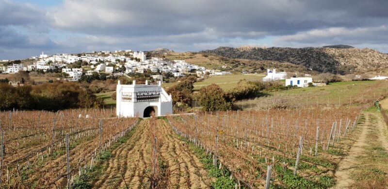 Tinos: Winery Tour and Wine Tasting Paired with Snacks - Final Thoughts