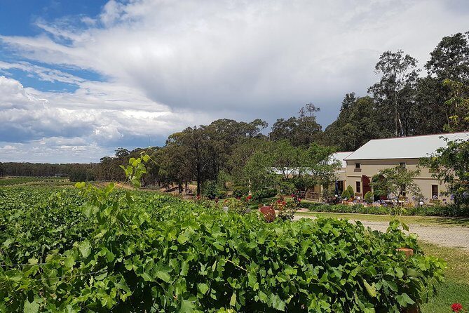 Tintilla Estate: Wine Tasting with a Meat and Cheese Platter - An In-Depth Look at the Tour Experience