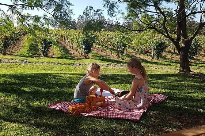 Tintilla Estate: Wine Tasting with a Meat and Cheese Platter - Final Thoughts