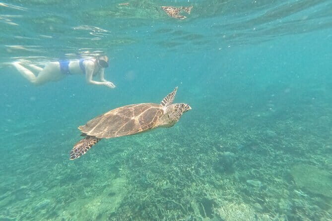 Tioman Coral Island Snorkeling & Island Hopping Tour - The Sum Up