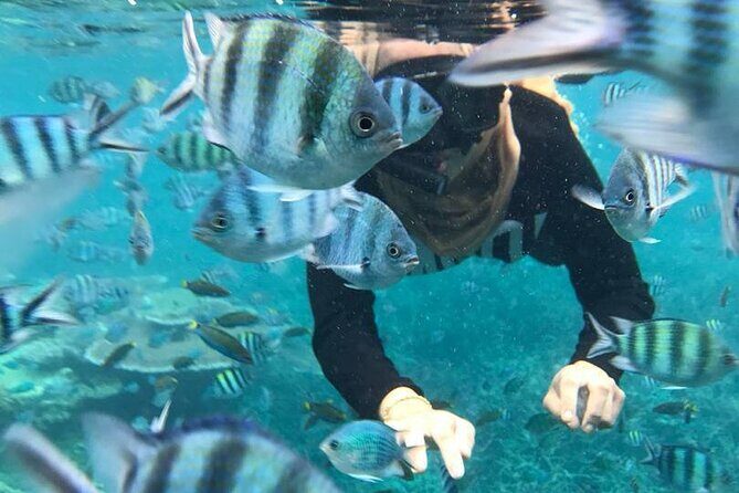 Tioman Waterfall & Snorkeling Private Tour - Key Points