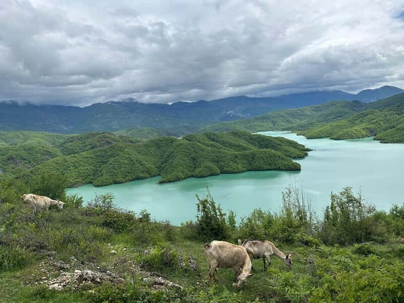 Tirana: Bovilla Lake & Gamti Mountain with SUV, No-Hiking - Who Will Enjoy This Tour